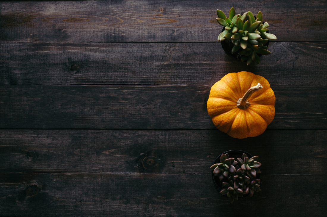 Happy Thanksgiving: la festa del Ringraziamento a New York – The Food ...